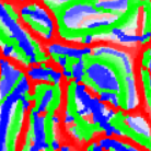 Slime Mold Simulation